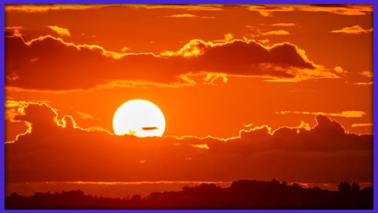 Gospodinele cu experiență pun staniol în recipientele cu făină, orez și ...