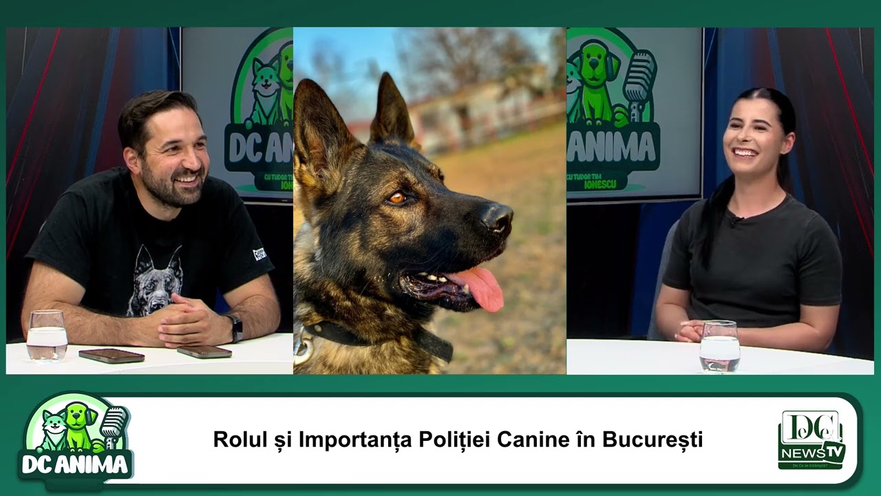 Cea mai bună ciorbă de leurdă. Rețeta ideală în sezonul de primăvară ...